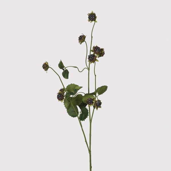 Blackberry Spray with Leaves – Sarah Louise Interiors