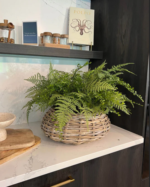 Lush Ferns in a Rustic Wicker Basket – Sarah Louise Interiors